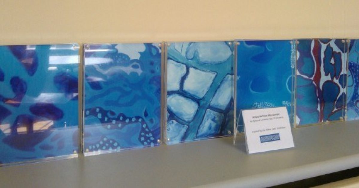 Rob Kesseler Silken Cells Secondary School… | Forty Hall Estate