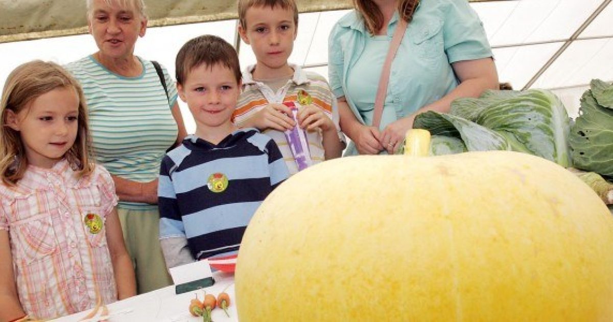 Announcement: The Enfield Town And Country Show –… | Forty Hall Estate